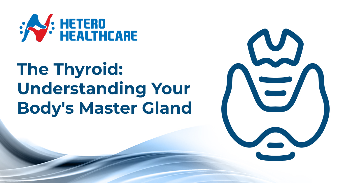 Understanding Your Thyroid: Function, Disorders, and Treatment | Hetero ...